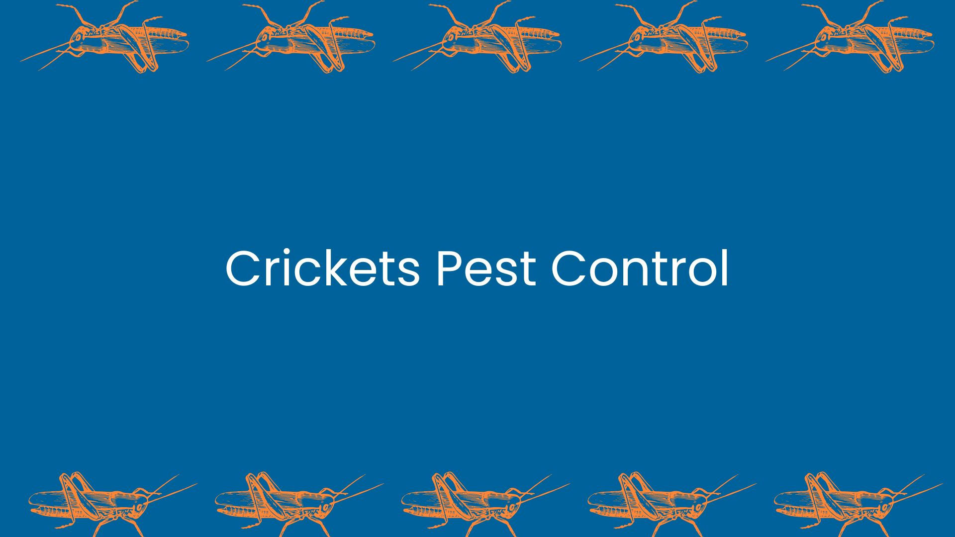 Crickets Pest Control Service In Glendora: Your Local Pest Solution